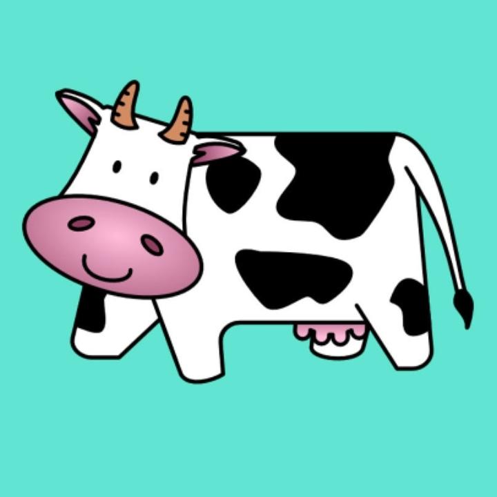 Silly Sid's – Silly Sid's